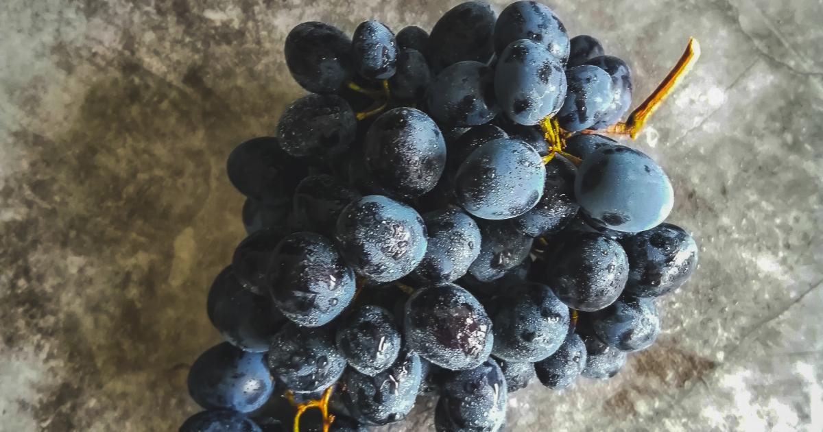 Marc de raisin - Celestetic France